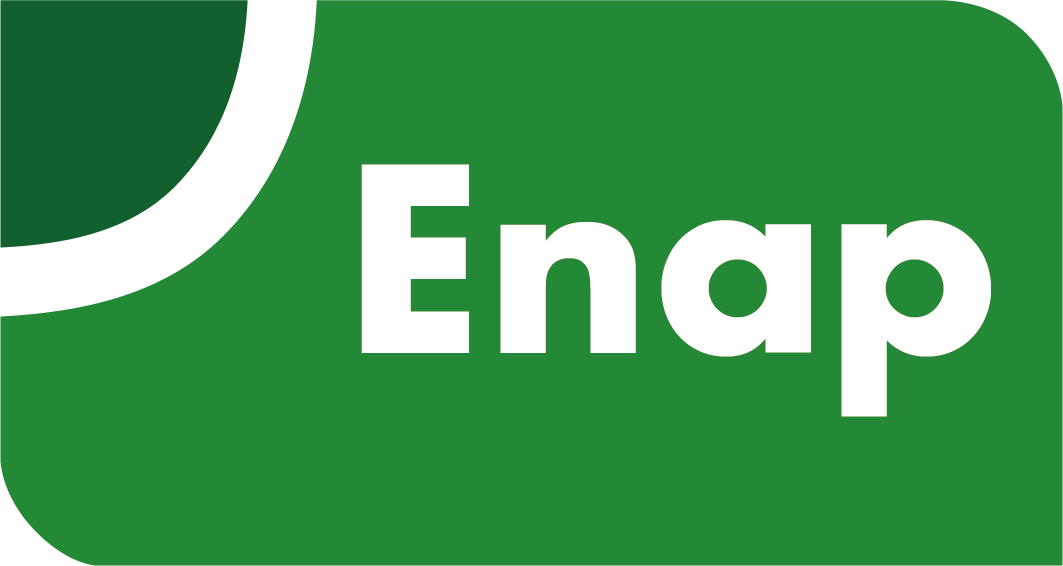 ENAP Oferta Cursos Relacionados no Plano de Desenvolvimento de Pessoas ...